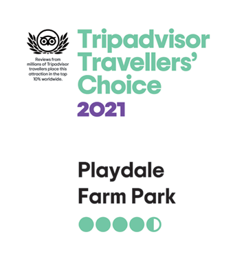 Playdale Farm Park | Come Rain or Shine...|Fun for all the family