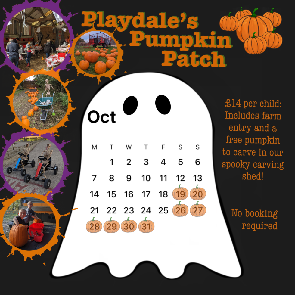 Playdale Farm Park | Come Rain or Shine...|Fun for all the family