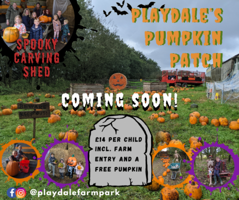 Playdale Farm Park | Come Rain or Shine...|Fun for all the family