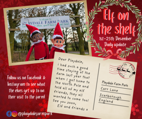 Playdale Farm Park | Come Rain or Shine...|Fun for all the family