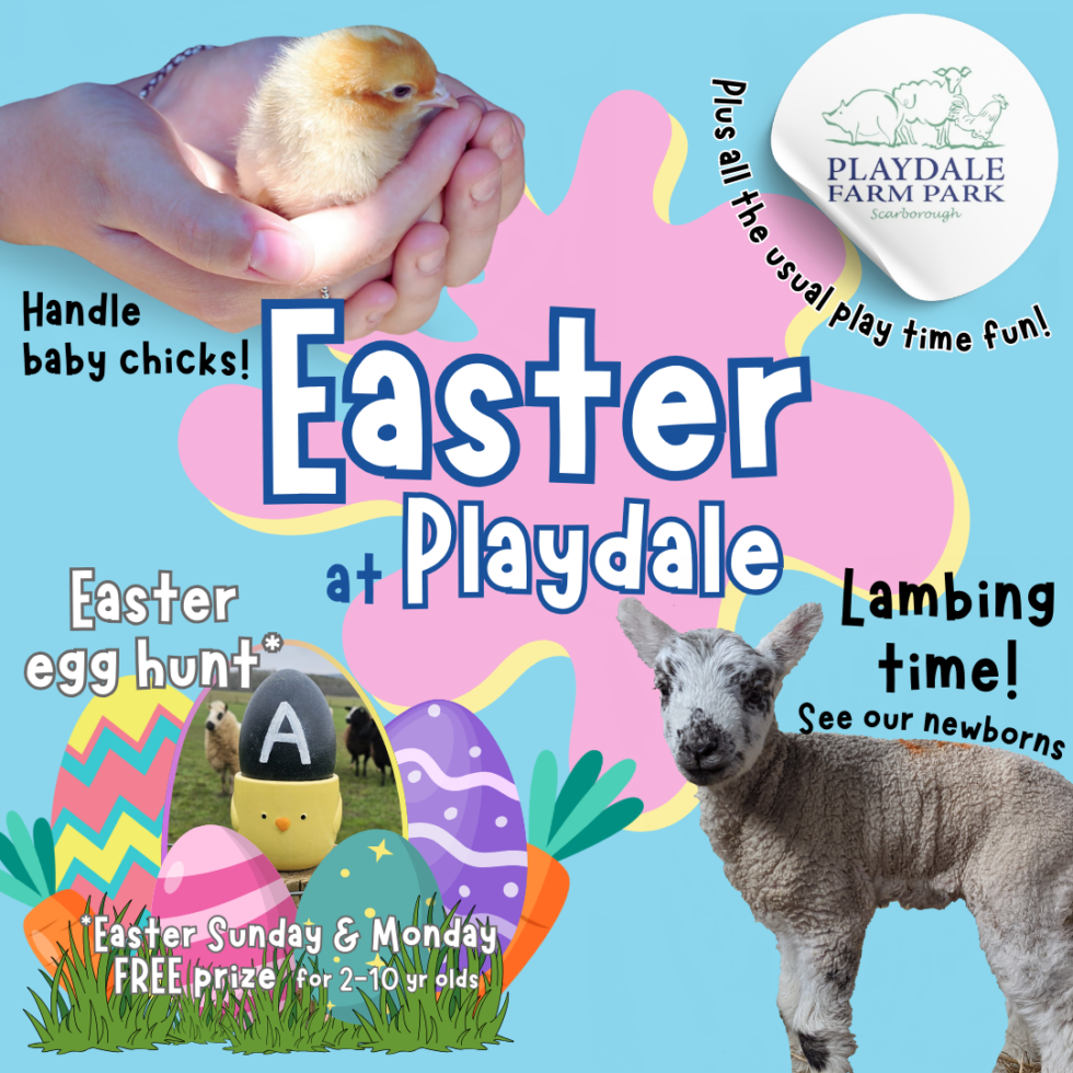 Playdale Farm Park | Come Rain or Shine...|Fun for all the family