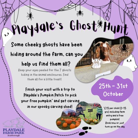 Pumpkin Patch|Playdale Farm Park | Come Rain or Shine...