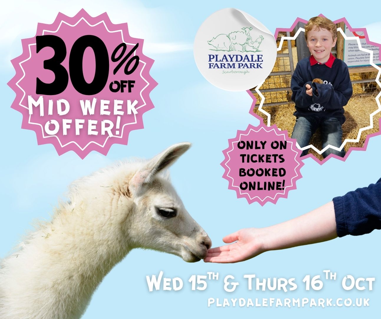 Playdale Farm Park | Come Rain or Shine...|Fun for all the family